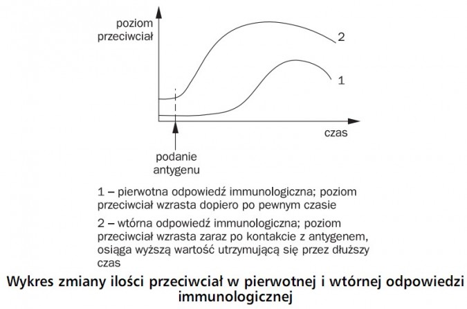 Odporność organizmu - Mechanizmy reakcji odpornościowej - Biologia ...